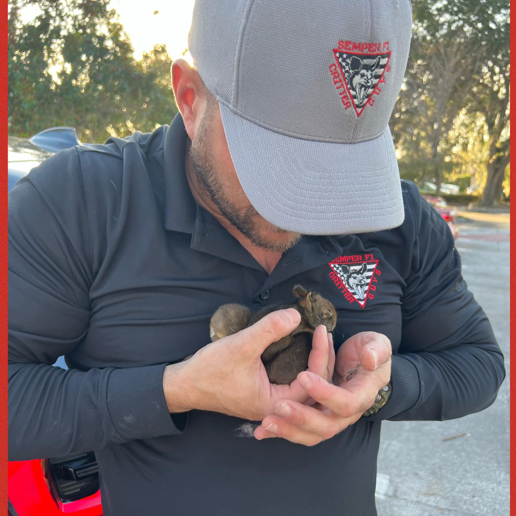 Semper Fi Critter Guys Offers Bat Removal in Apopka, FL 32712